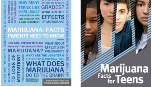FAMILY RESOURCE: Marijuana Facts Teens & Parents Need To Know - Family ...